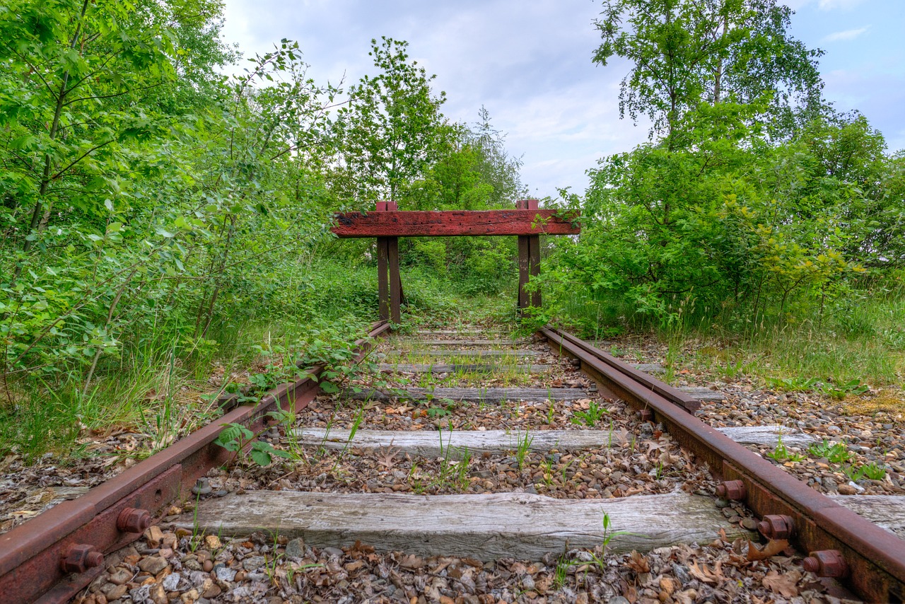 What to Do With HS2? - The New Conservative